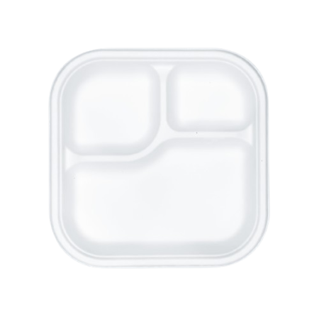 9" 3CP Square Plate - Eco Delicious Pulp LLP.